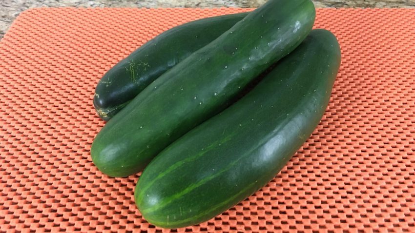 TIPOS DE PEPINOS – Mãozinha na Cozinha