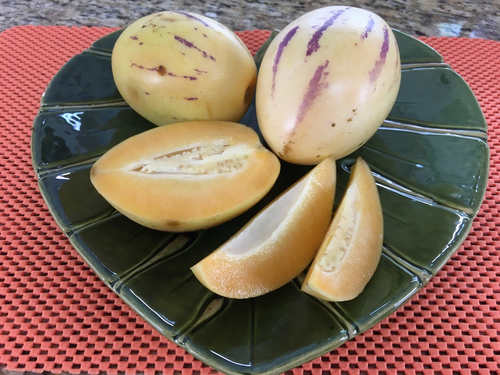 MELÃO ANDINO – Mãozinha na Cozinha